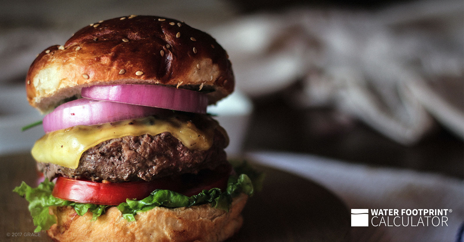 The Water Footprint of Meat and Dairy - Water Footprint Calculator