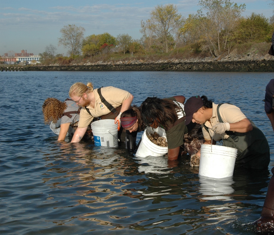 Jobs in Water Conservation Include More Than You Might Think