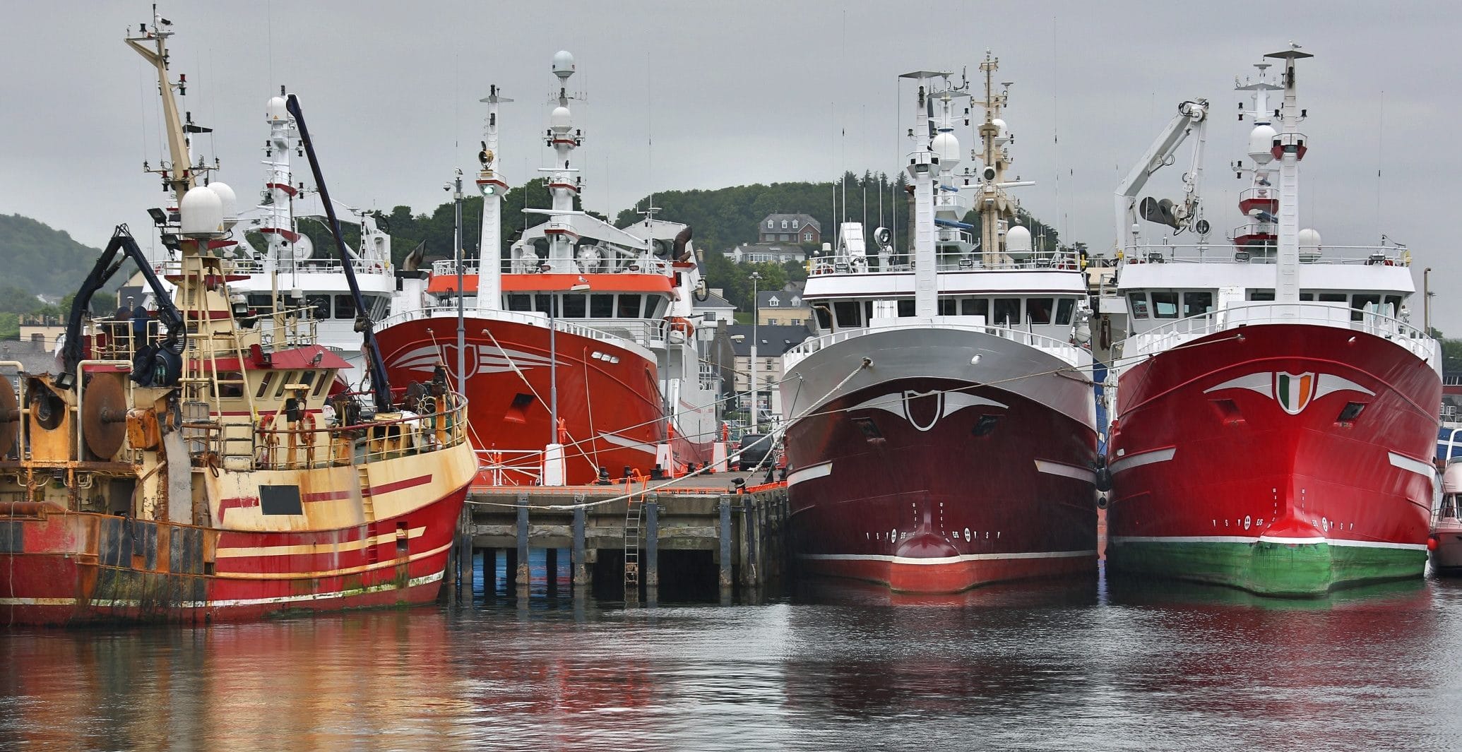 Saltwater Fish and Farming: How Land-based Fisheries Can Save Water