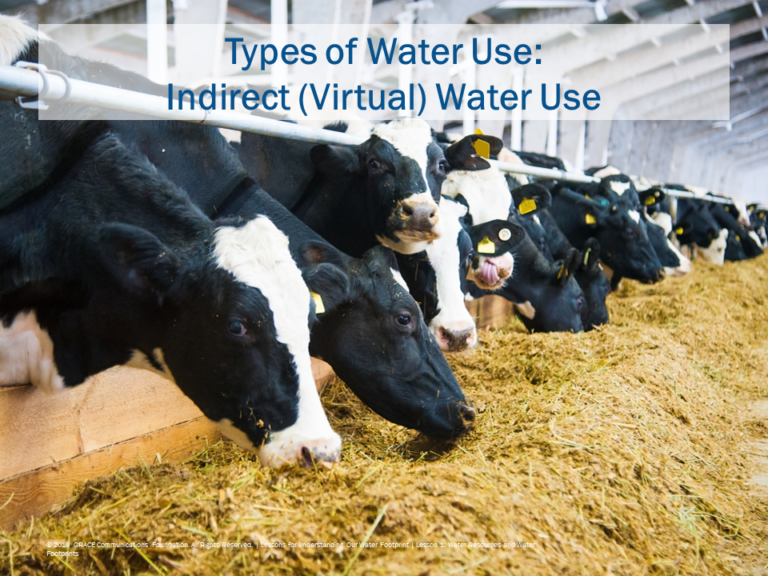 Beyond the Water Cycle: Teaching About Water Footprints